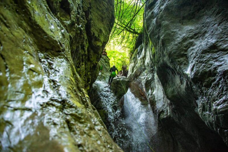 Dornbirn: Merlins World canyoning experience for beginners - Key Points