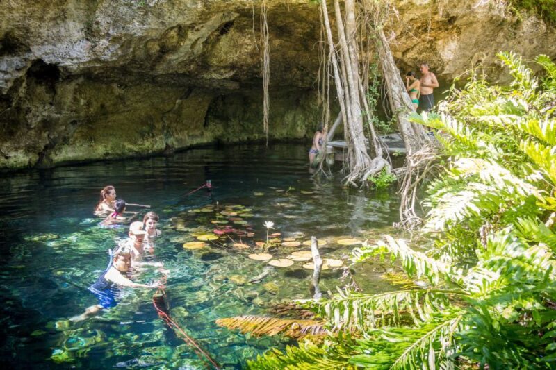 Dos Cenotes Adventure: Swim, Explore & Taste - An Authentic Riviera Maya Experience