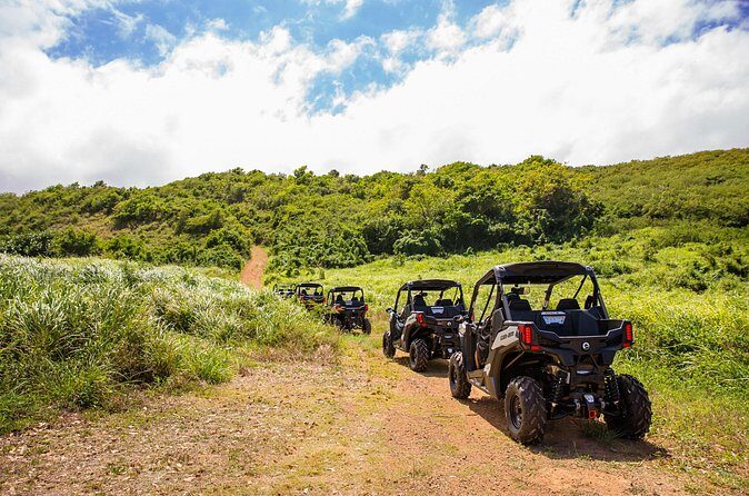 Dos Mares and Rainforest UTV Adventure Tour in Fajardo - Practical Tips for Enjoying the Tour