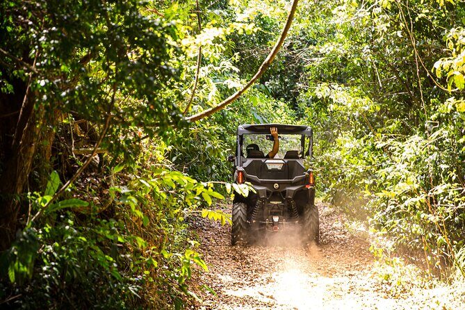 Dos Mares and Rainforest UTV Adventure Tour in Fajardo - Frequently Asked Questions (FAQs)