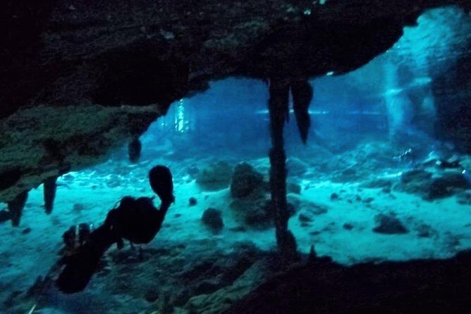 Dos Ojos Cenote Cavern Dive- The Barbie Line and The Bat Cave - A Closer Look at the Tour Experience