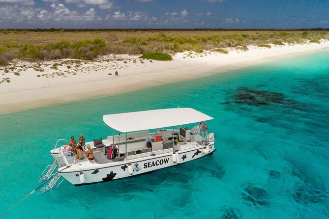 Double Dip Snorkel Trip - Why Choose the Double Dip Snorkel Trip?