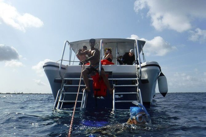 Double Dip Snorkel Trip - What Makes This Tour Stand Out?