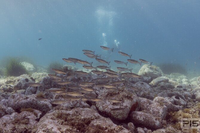 Double Discover Scuba Diving - Key Points