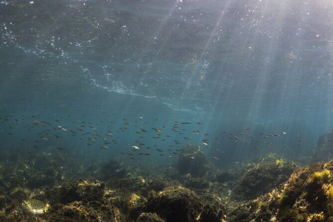 Double Discover Scuba Diving - Frequently Asked Questions