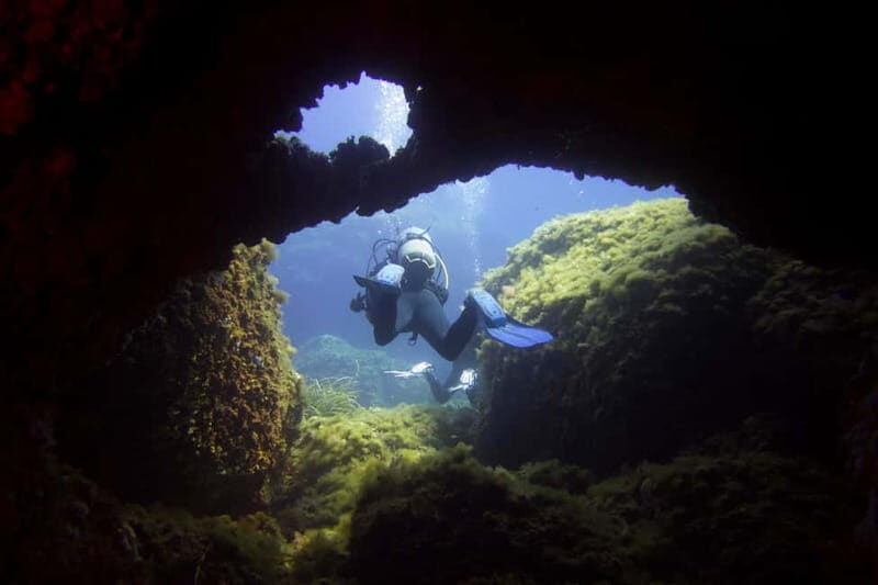 Double dive in Menorca: Discover Menorca's Marine Reserve - A Realistic Look at the Value