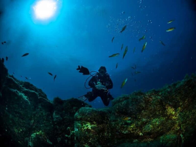 Double dive in Santa Maria Island - Azores - Introduction to the Santa Maria Dive Tour