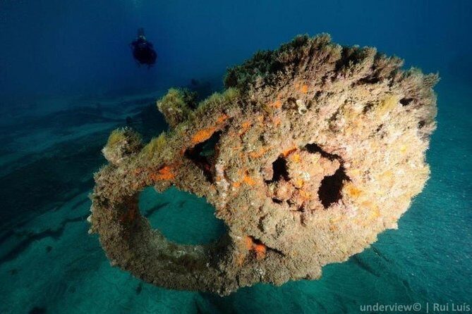 Double dive in the Algarve. Don't stop on the beach! - Practical Details for Planning Your Dive