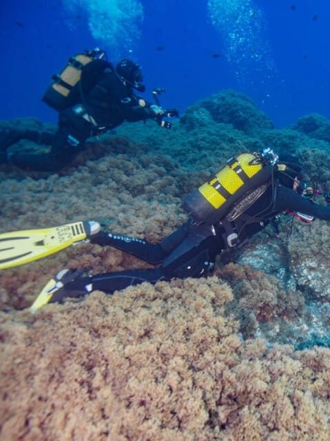 Double Dive the Azores, in the middle of the Atlantic Ocean - Exploring the Experience: What’s in Store