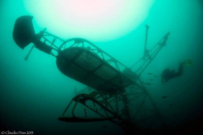 Double Dive the Fantastic Ocean Revival Park - An In-Depth Look at the Ocean Revival Double Dive Experience