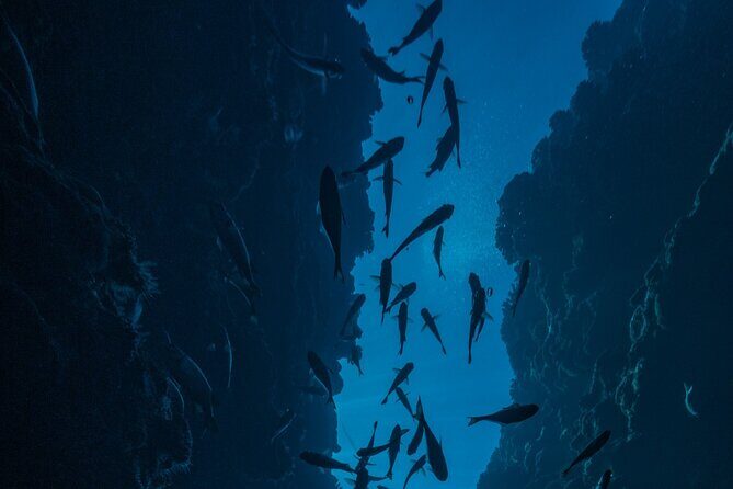Double Diving Adventure Exploration for Certified Divers - The Sum Up