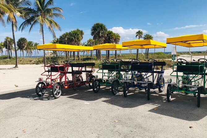 Double Quadricycle/Surrey Rental at Crandon Park - What’s Unique About This Experience?