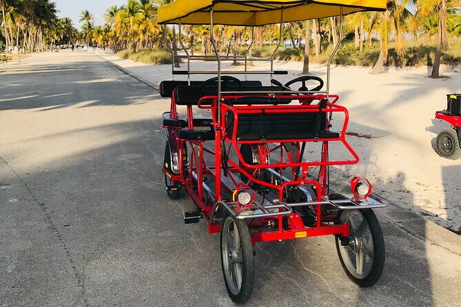 Double Quadricycle/Surrey Rental at Crandon Park - Who Would Love This?