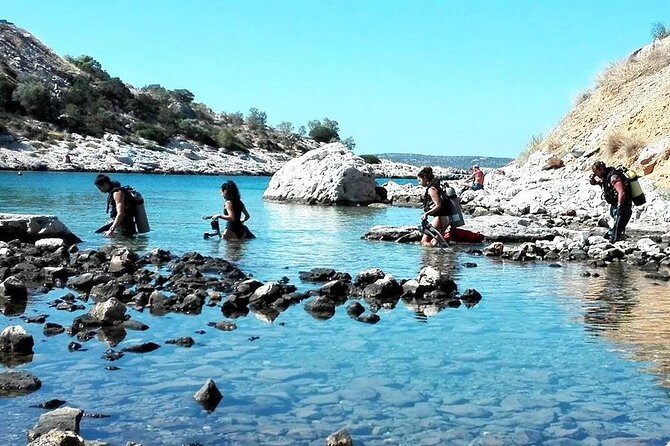 Double Shore Dive (certified divers) - The Itinerary: What to Expect from This Shore Dive Experience