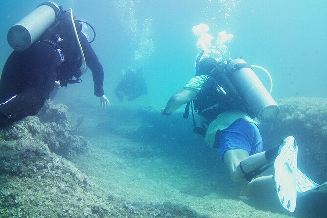 Double Shore Dive (certified divers) - Our Final Thoughts: Is It Worth It?