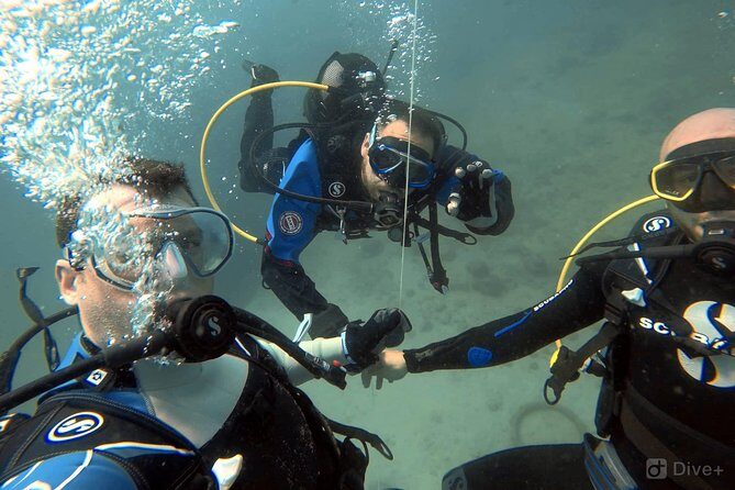 Double Shore Dive (certified divers) - FAQs