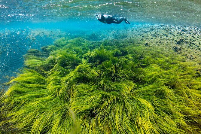 Double Snorkeling Adventure near Húsavík in North Iceland - Introduction: Exploring Iceland’s Hidden Underwater Wonders