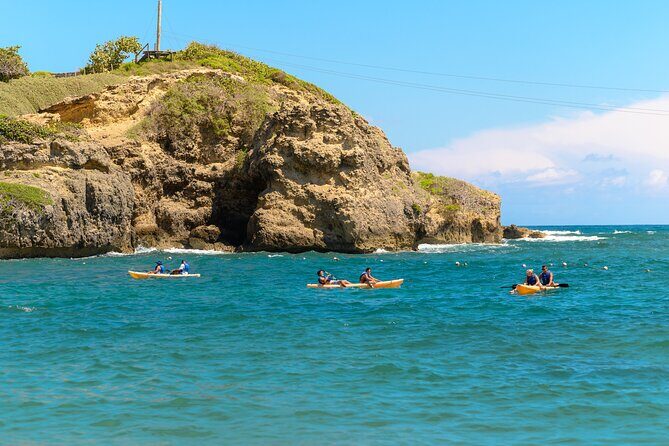 Double Thrill Experience: ATV or Dune Buggy & Zipline - Who is This Tour Best For?