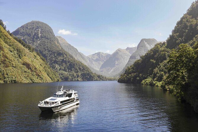 Doubtful Sound Wilderness Cruise from Queenstown - Price and Value Analysis