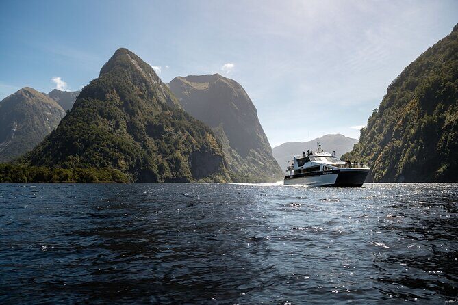 Doubtful Sound Wilderness Cruise from Te Anau - The Value for Money