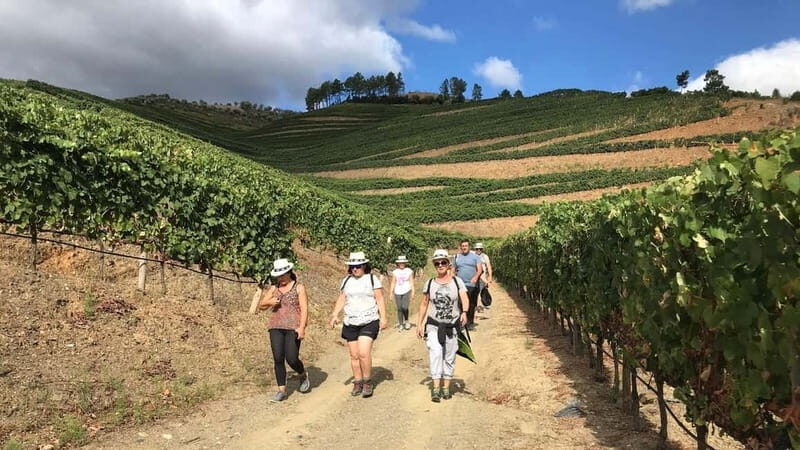 Douro: Adventure Ride with Walk and Local Lunch - Key Points