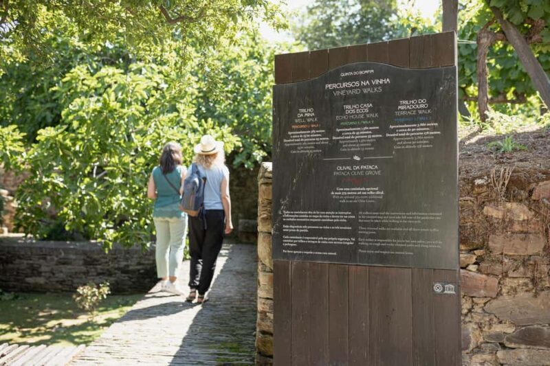 Douro and Port tasting Quinta do Bomfim - Practical Details and What to Expect