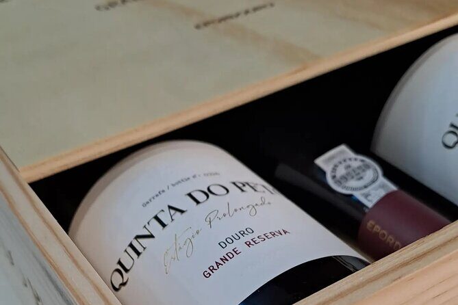 Douro and Port Wine Tasting in Vila Nova de Gaia - The Experience: A Closer Look at the Itinerary and What You Can Expect