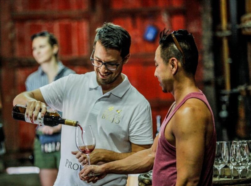 Douro: Classic Wine Tasting with Guided Tour - Setting the Scene: The Charm of Quinta do Beijo