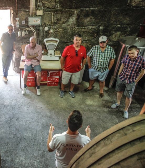 Douro: Classic Wine Tasting with Guided Tour - The Port Wine Experience