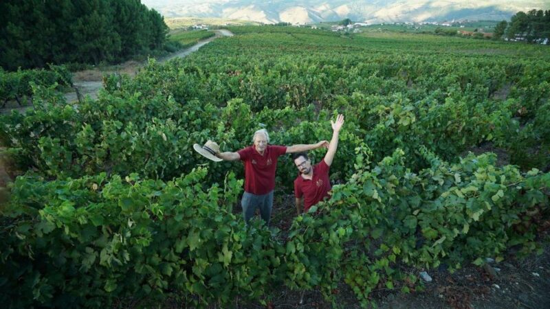 Douro: Classic Wine Tasting with Guided Tour - What’s Included & What’s Not