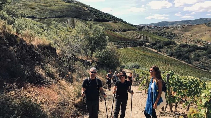 Douro: exclusive experience to Niepoort with paired lunch - Discover the Quiet Elegance of Douro with an Exclusive Niepoort Experience