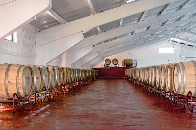 Douro: Martha's Harvest - DOC Wine Tour and Tasting - The Tasting Experience