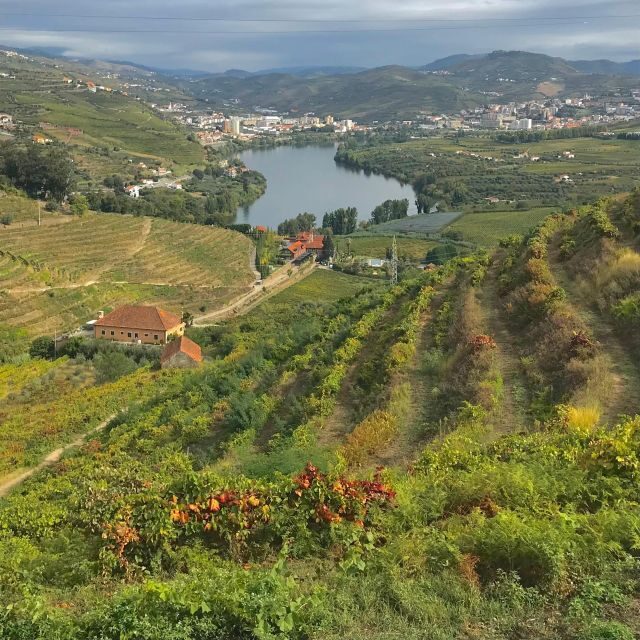 Douro - Pacheca: luxury walking with full lunch and wines - Key Points
