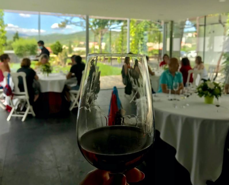 Douro - Pacheca: luxury walking with full lunch and wines - Authenticity and Guest Feedback