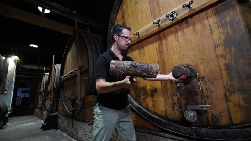 Douro: Porto Wine Tasting with Guided Tour - Key Points