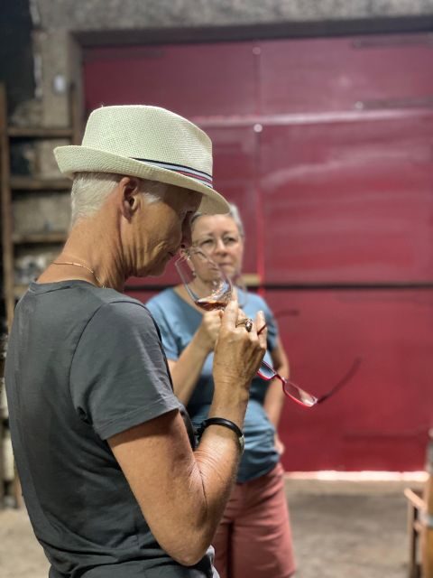 Douro: Porto Wine Tasting with Guided Tour - The Experience and Value
