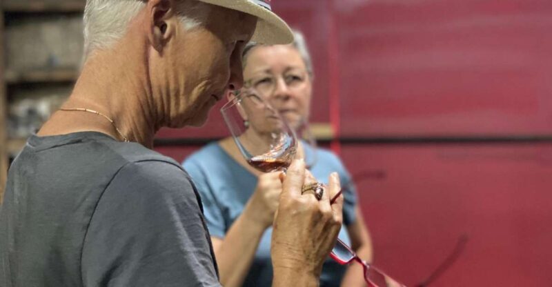Douro: Porto Wine Tasting with Guided Tour - A Practical Perspective