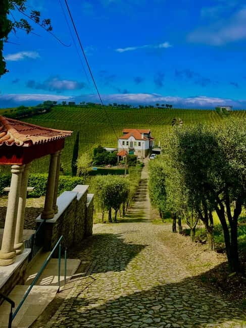 DOURO PREMIUM - Who Will Love This Tour?