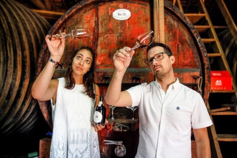 Douro: Premium Wine Tasting and Tapas Tour - Key Points