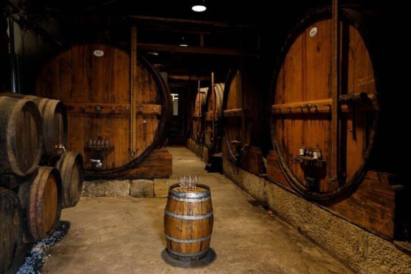 Douro: Premium Wine Tasting and Tapas Tour - FAQ