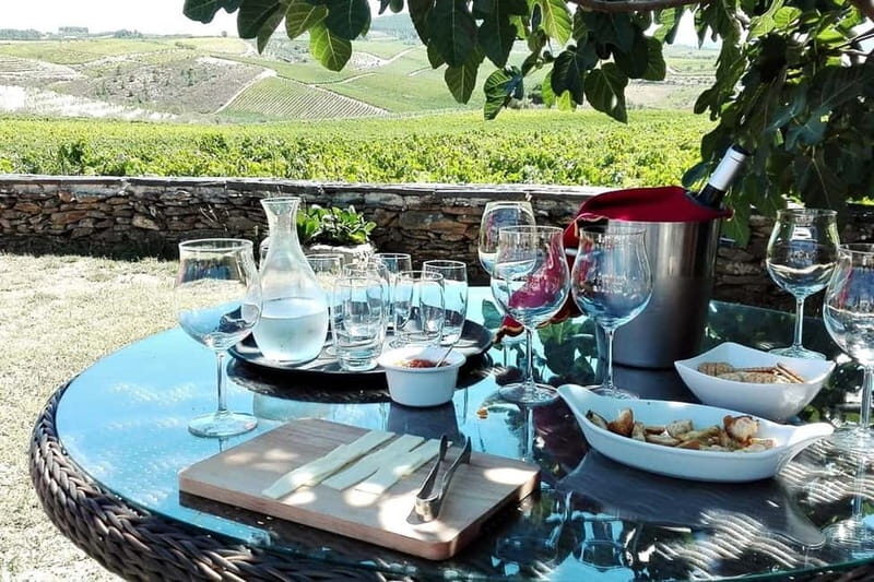 Douro Private Tour  Customizable Experience - Wine Tasting - Elevating the Experience