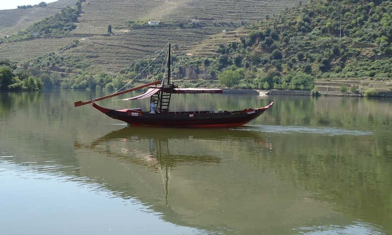 Douro Private Tour  Customizable Experience - Gourmet Lunch & Additional Delights