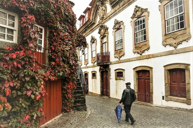 Douro Private Tour  Customizable Experience - The Return & Relaxation