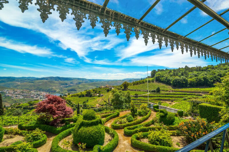 Douro: Quinta de Santa Júlia Lunch, Tour, & Wine Tasting - The Journey to the Douro: From Porto to the Heart of Wine Country