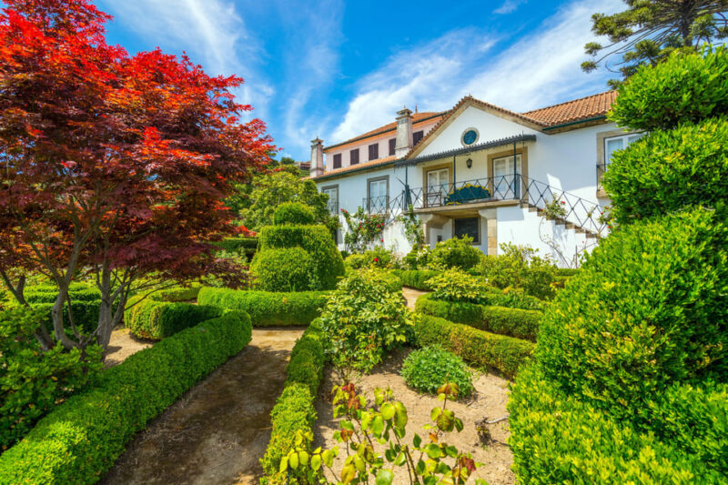 Douro: Quinta de Santa Júlia Lunch, Tour, & Wine Tasting - Key Points