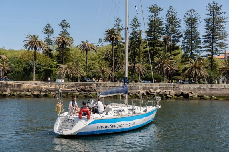Douro River Cruise with Cheese & Tonic Porto in a Sailboat - Who Should Consider This Tour?
