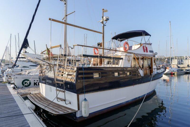 Douro River: Party Boat Tour - Who Should Try the Douro River Party Boat?