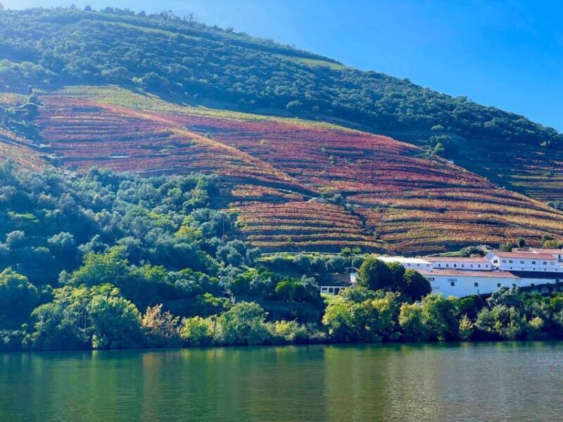 Douro River Private Cruise - FAQs