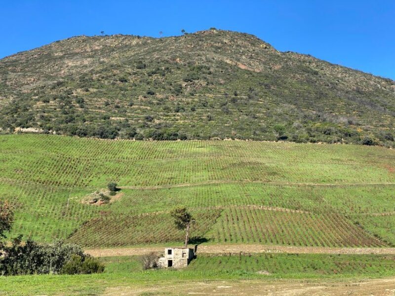 Douro - tour with train, walking, picnic and wines - Your Day in Douro, in Detail