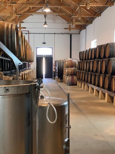 Douro - tour with train, walking, picnic and wines - Who Will Love This Tour?